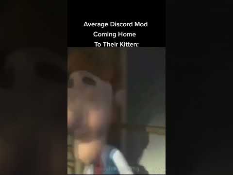 Discord Mods In A Nutshell 💀
