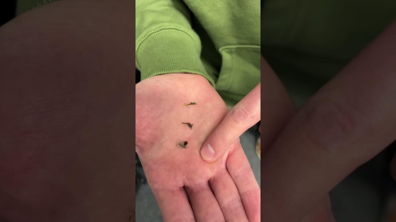 Baetis (BWOs) are hatching right now! Here is a basic overview of which types of flies you may want.