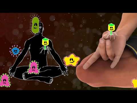 Apana Vayu Mudra