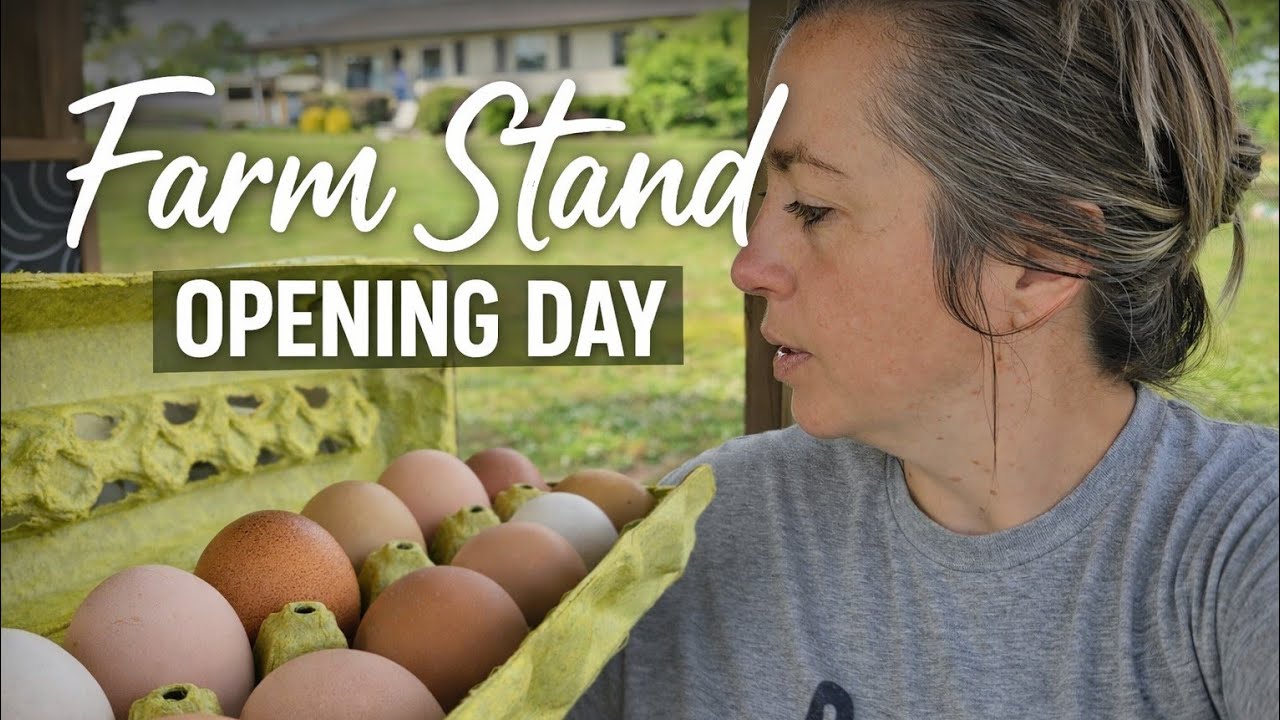 Farm Stand Opening Day