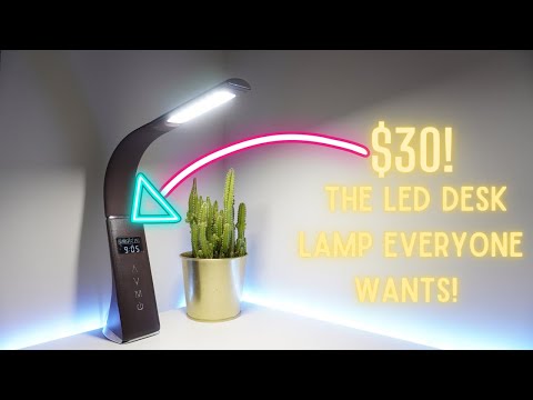 The Best Amazon Desk Lamp!