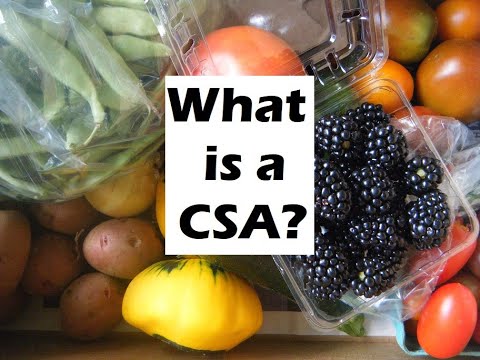 What is a C.S.A.?  Is a C.S.A. Subscription For Me?