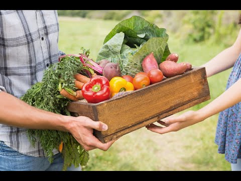 What is CSA? We break it down for you and explain the amazing benefits this program offers!