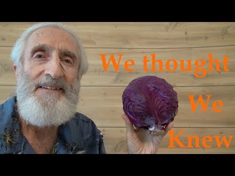 We Thought We Knew How To Cook Cabbage, Broccoli, & Other Cruciferous Vegetables