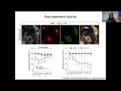[Beatriz Blanco-Redondo]  ALS, from bench to clinic