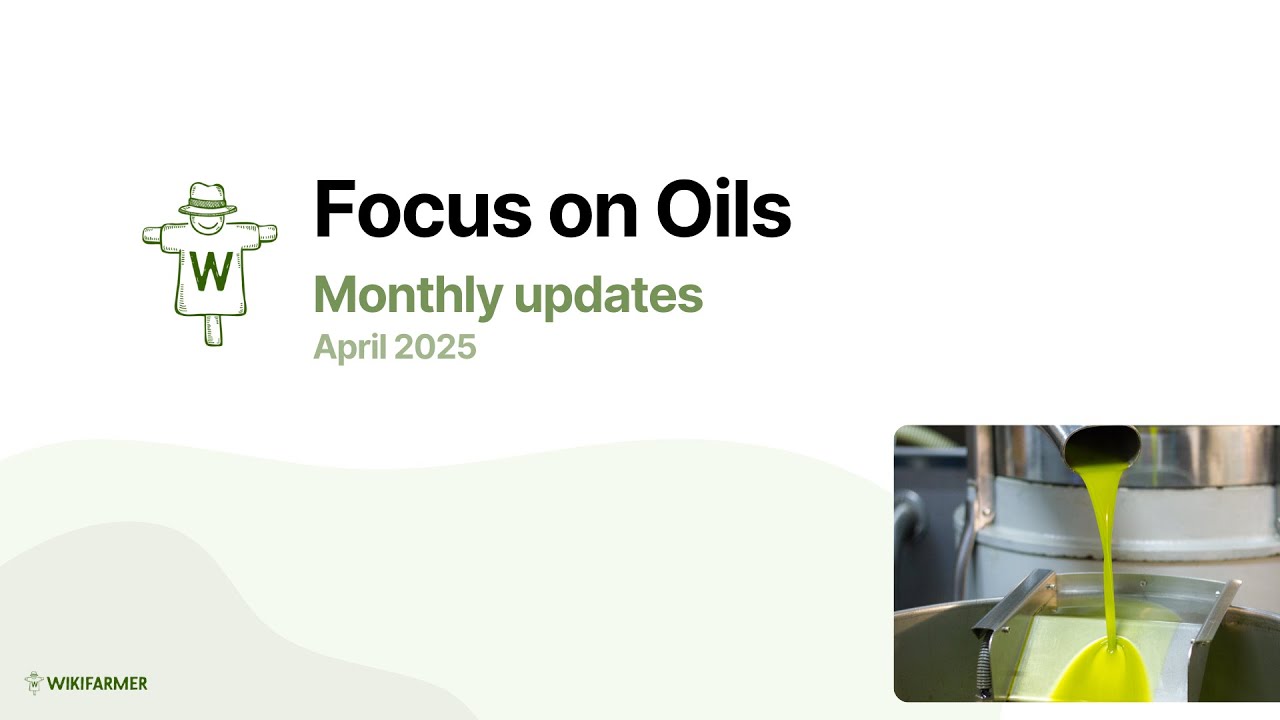 Monthly Focus on Oils April 2025