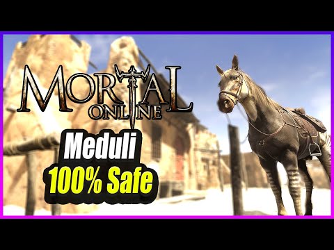 Steam Community :: Video :: Meduli is the safest city in Mortal Online 2