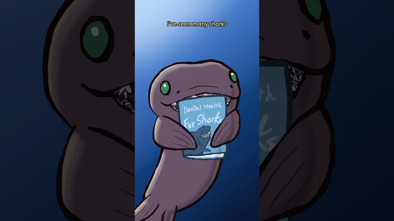 Frilled Shark 🦎🦈 #animation #original #cartoon