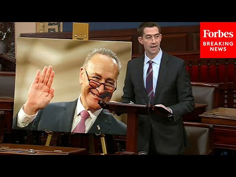 Tom Cotton Reads Schumer Speech Verbatim Against Nuking Filibuster