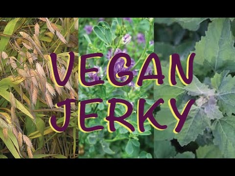 Vegan Jerky