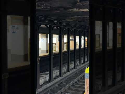 Exploring the MTA Subway Platform Barrier Pilot Program – Mieum Media