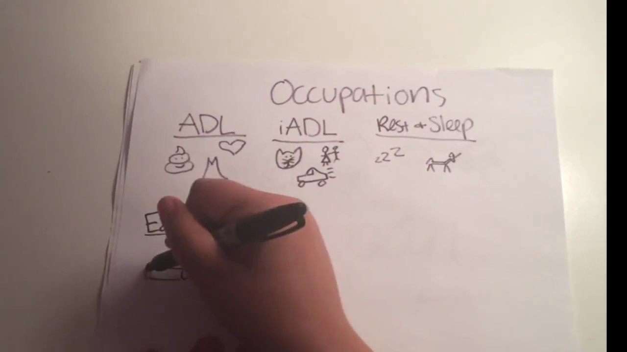 Conceptual Diagram of the Field of Occupational Therapy