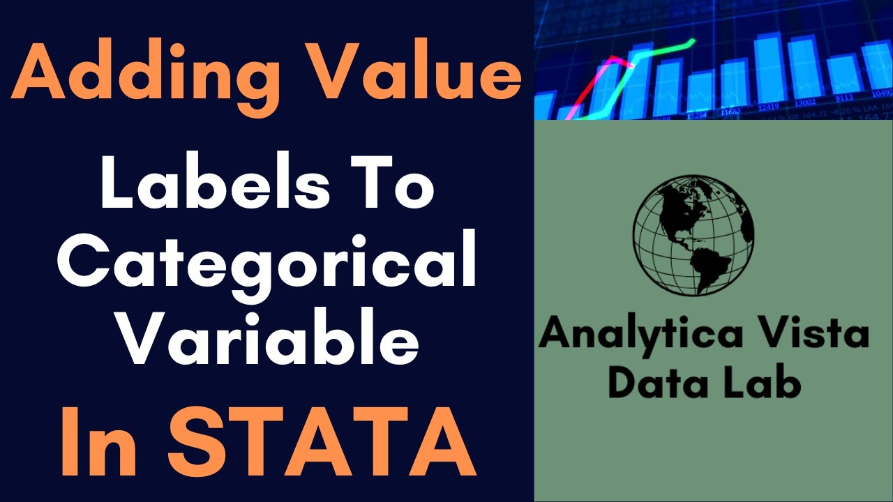 4. How to add Value Labels to a Categorial Variable in STATA?