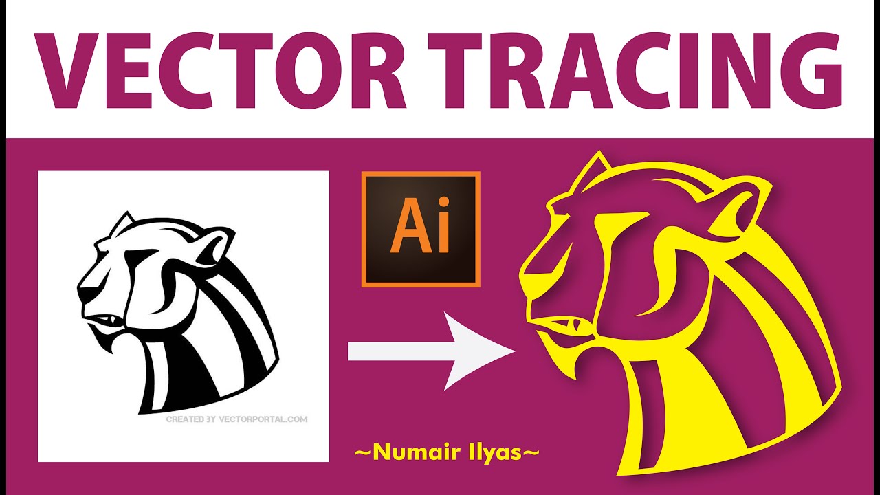 Adobe Illustrator | Vector Tracing | Tiger Image | Beginners Guide