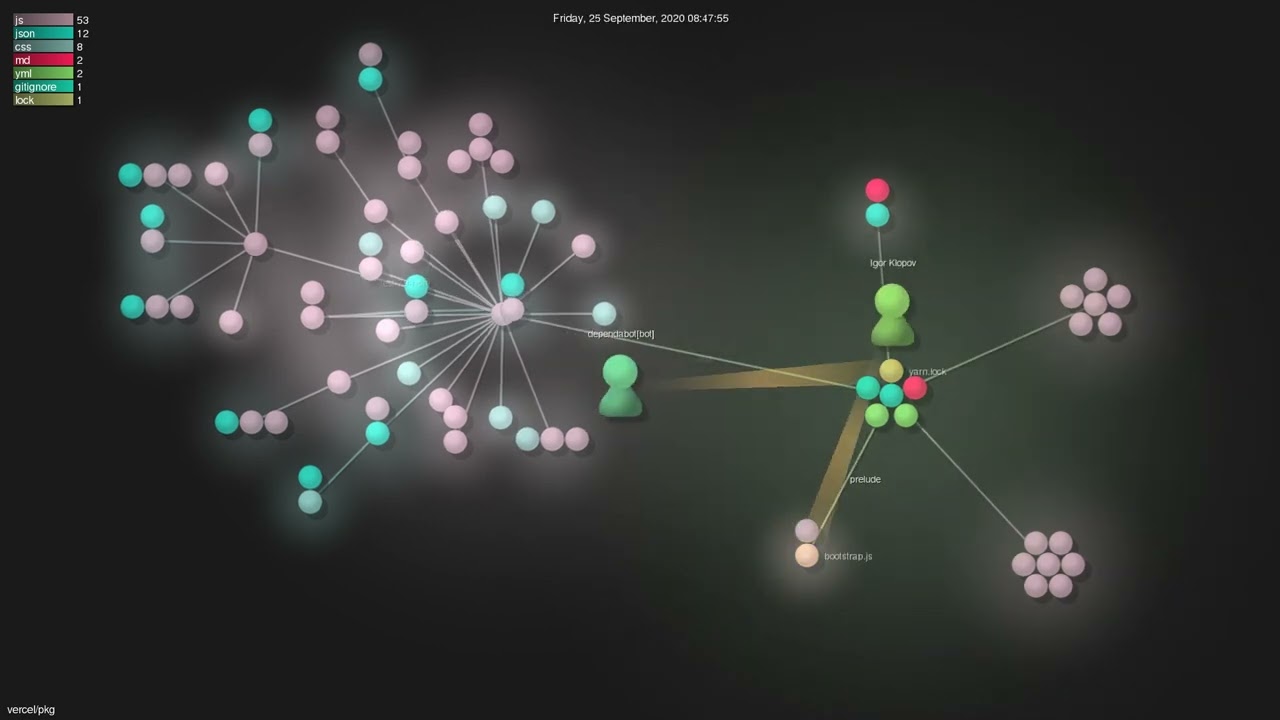 vercel/pkg - Gource visualisation