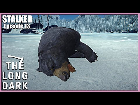 Steam Community :: Video :: First Bear of the Series - The Long Dark ...