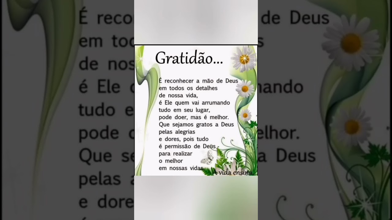 Mensagem de Gratidão ✨️