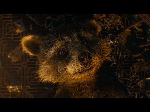New voice for Rocket Raccoon in Guardians of the Galaxy Vol. 3