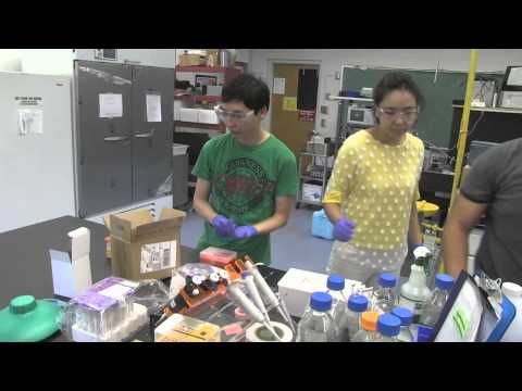 Report: Most STEM College Graduates Not Working In STEM Fields