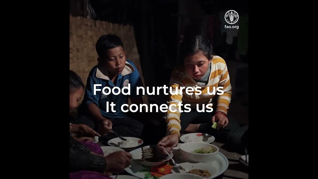 Revealing the true cost of food to transform agrifood systems