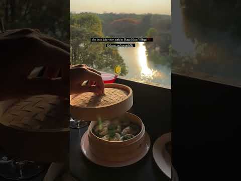 Lake view restaurant in hauz khas village the record room