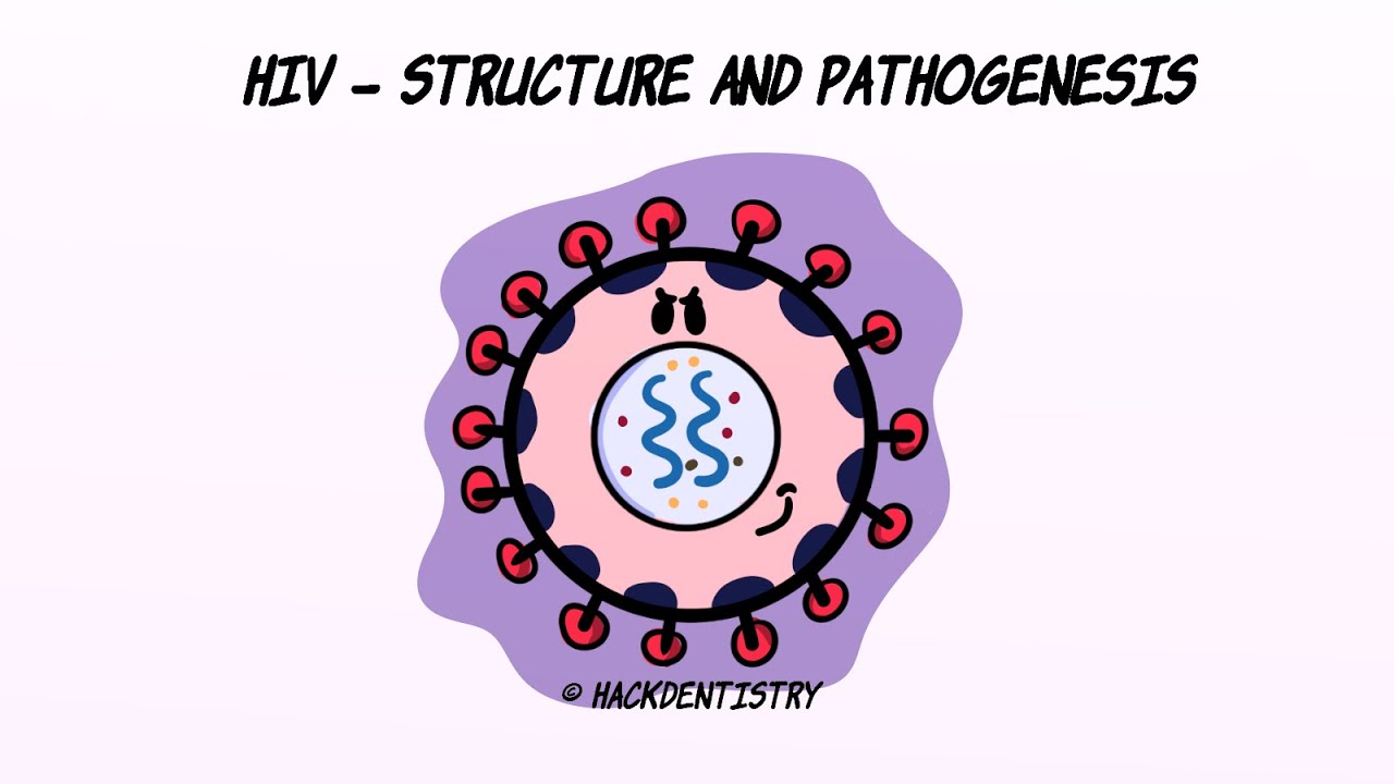 Understanding HIV: Structure, Pathogenesis, and Transmission | Galaxy.ai