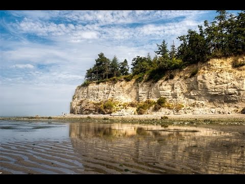 Private Legacy Estate in Freeland, Washington