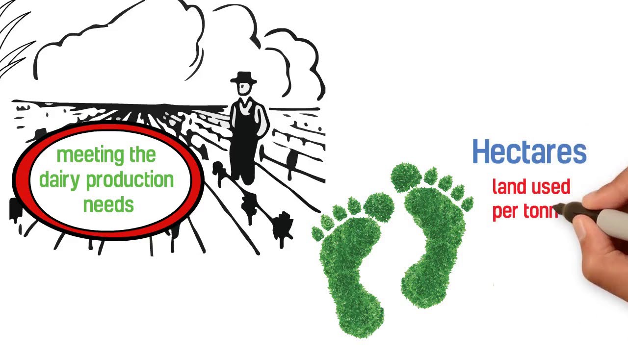 Milking the environment: Ensuring sustainable use of water and land resources in dairy systems