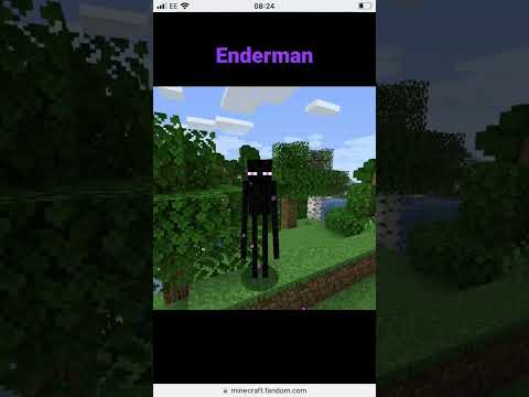 My favourite Minecraft mobs