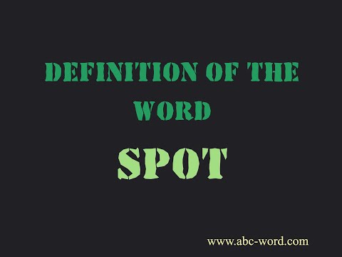 Definition of the word "Spot"