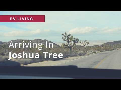 RV Living | Arriving in Joshua Tree National Park