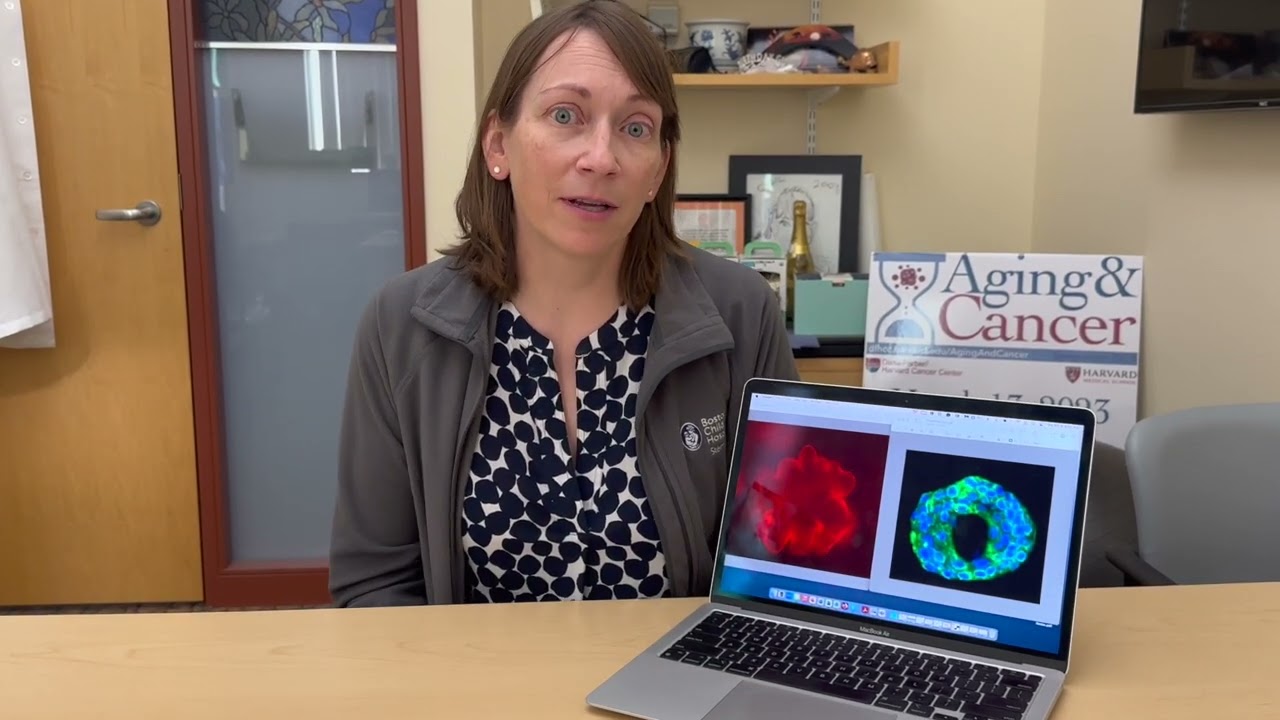 Dr. Carla Kim Lab Spotlight