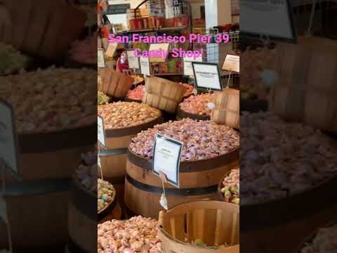Exploring San Francisco: A Tour of the City's Iconic Landmarks and Hidden Gems" Huge candy Pier39