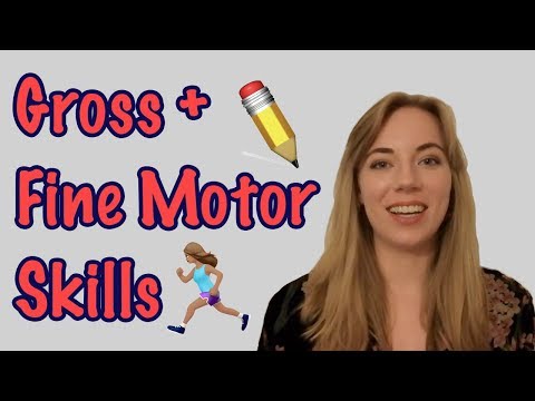What are Gross Motor and Fine Motor Skills?