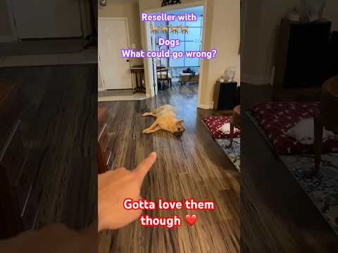 End of day for reseller #dogs #doggo #entrepreneur #resellercommunity