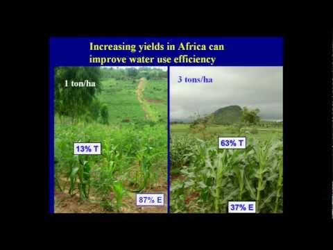 The Hans Jenny Lecture - Dr. Pedro Sanchez