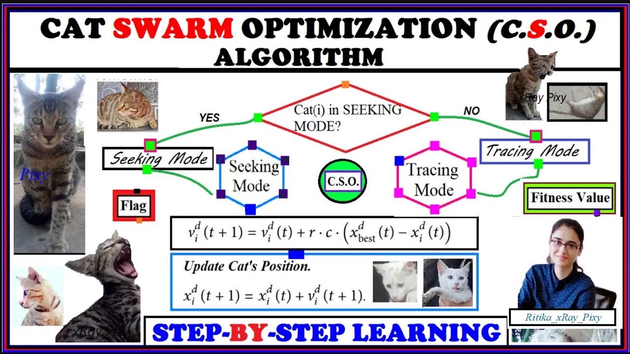 Learn Cat Swarm Optimization Algorithm | STEP-BY-STEP | Explanation ~xRay Pixy
