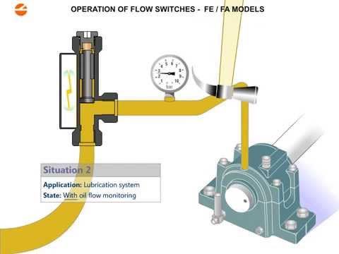Oil Flow Switch at Best Price in India