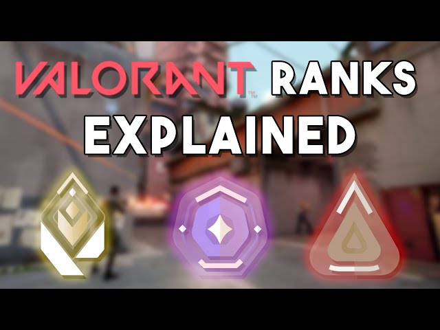 How to find someone's Valorant rank using rank checker
