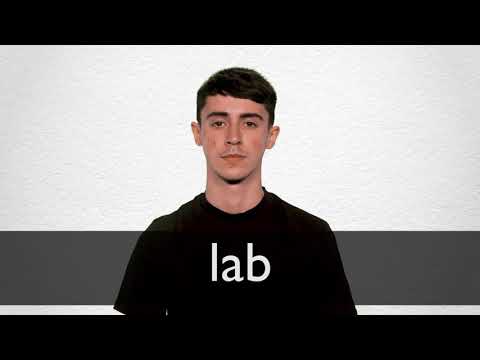 How to pronounce LAB in British English