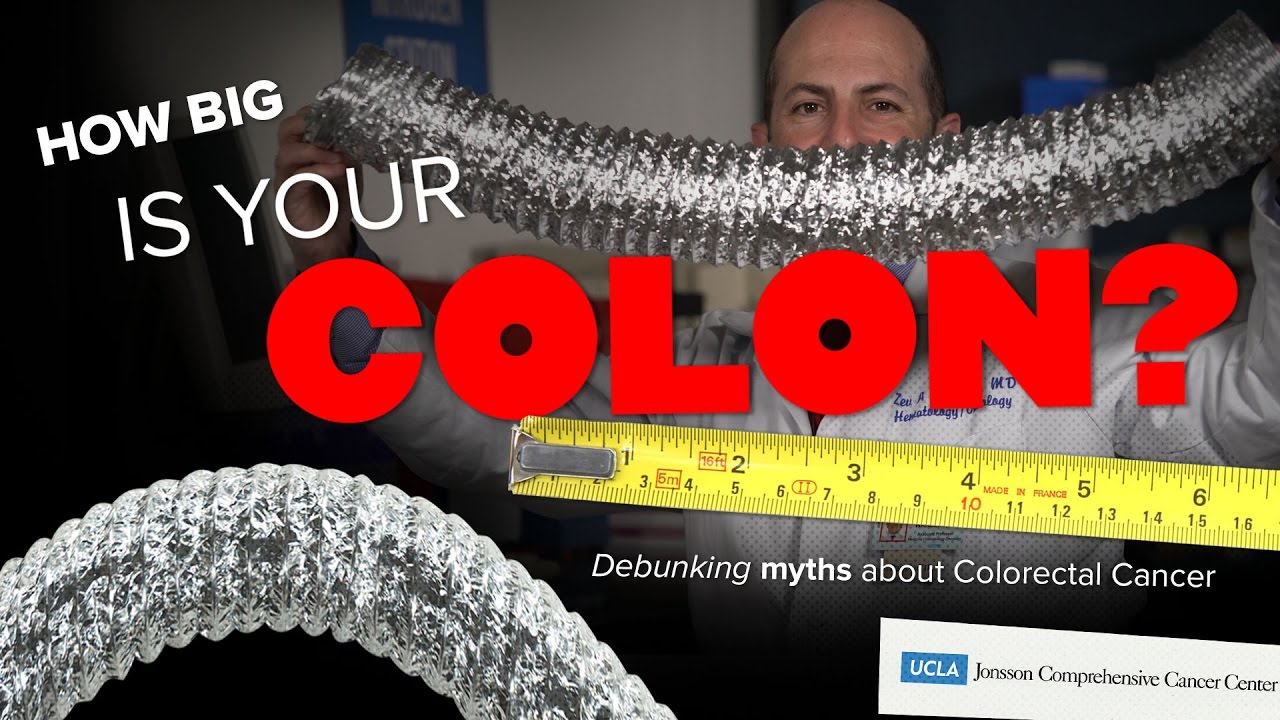 How Big is Your Colon? Debunking Myths about Colorectal Cancer