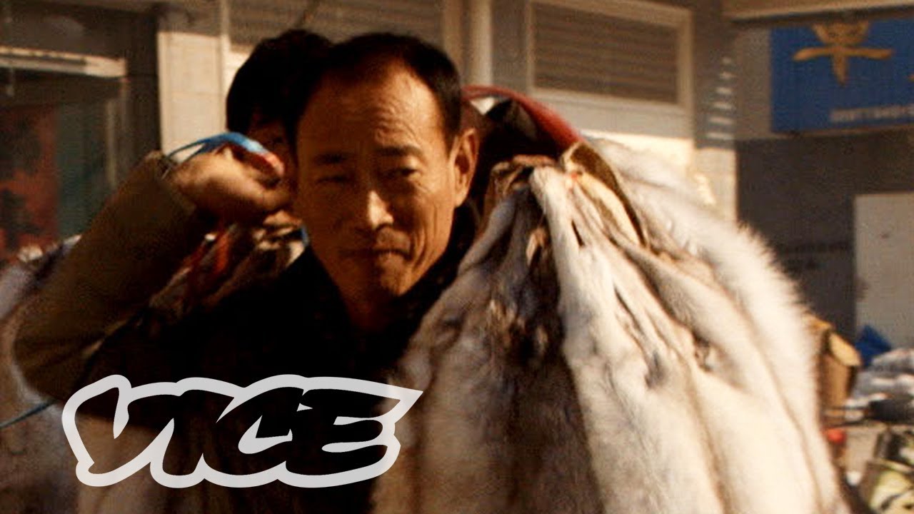 China's Booming Mink Fur Trade
