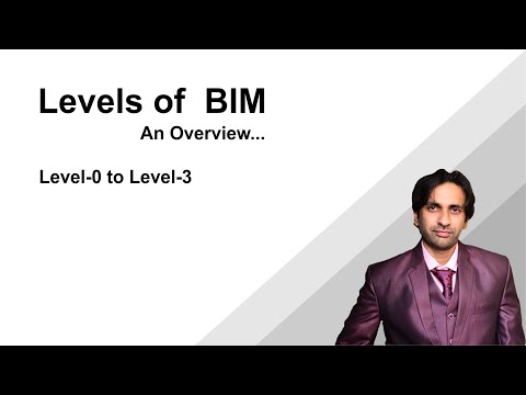 Levels of BIM