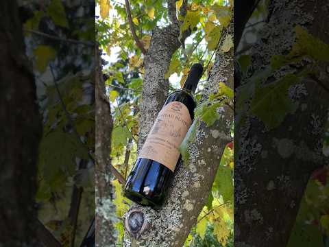 Wine label design #design #designer #label