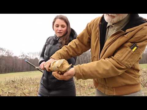 Soil Catena Lab - 2 with Professor Ray Weil: Holes 2, 3, 4