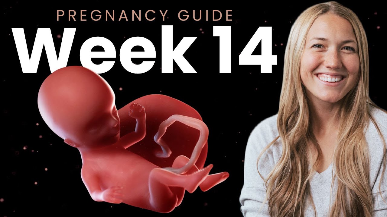 14 Weeks Pregnant | Week By Week Pregnancy
