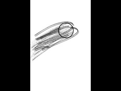 Golf Cartoon