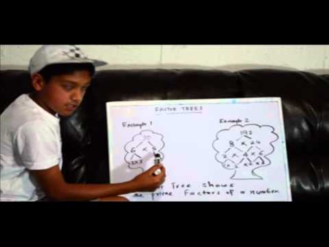 shawn explains factor tree -tutorial