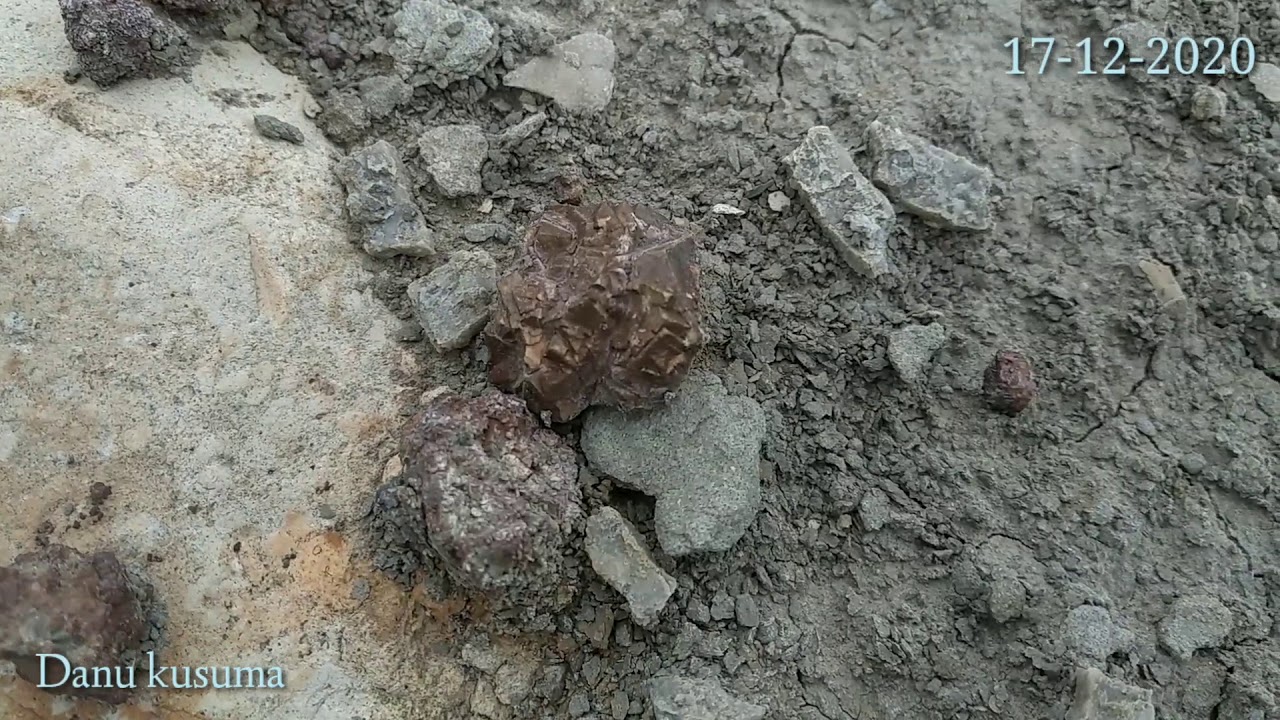 304 Batuan mineral logam mulia, Danu kusuma Bojonegoro