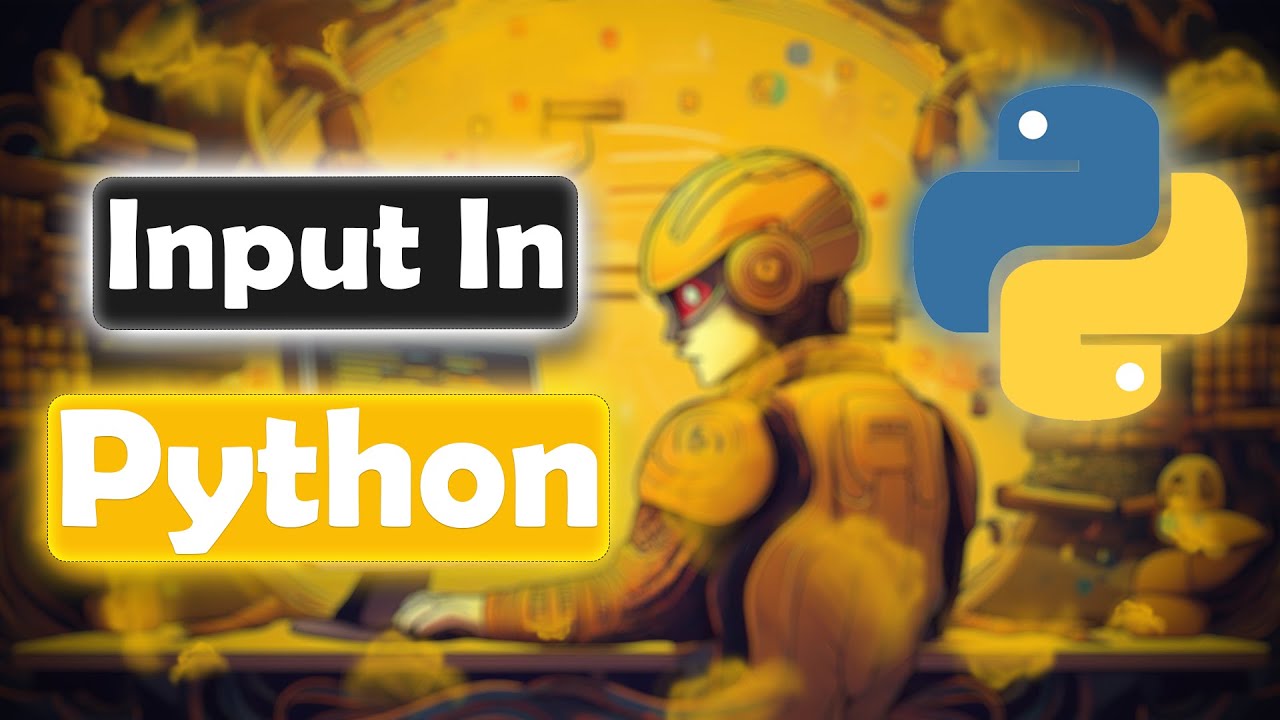 Python Input Function: Practical Examples & Exercises